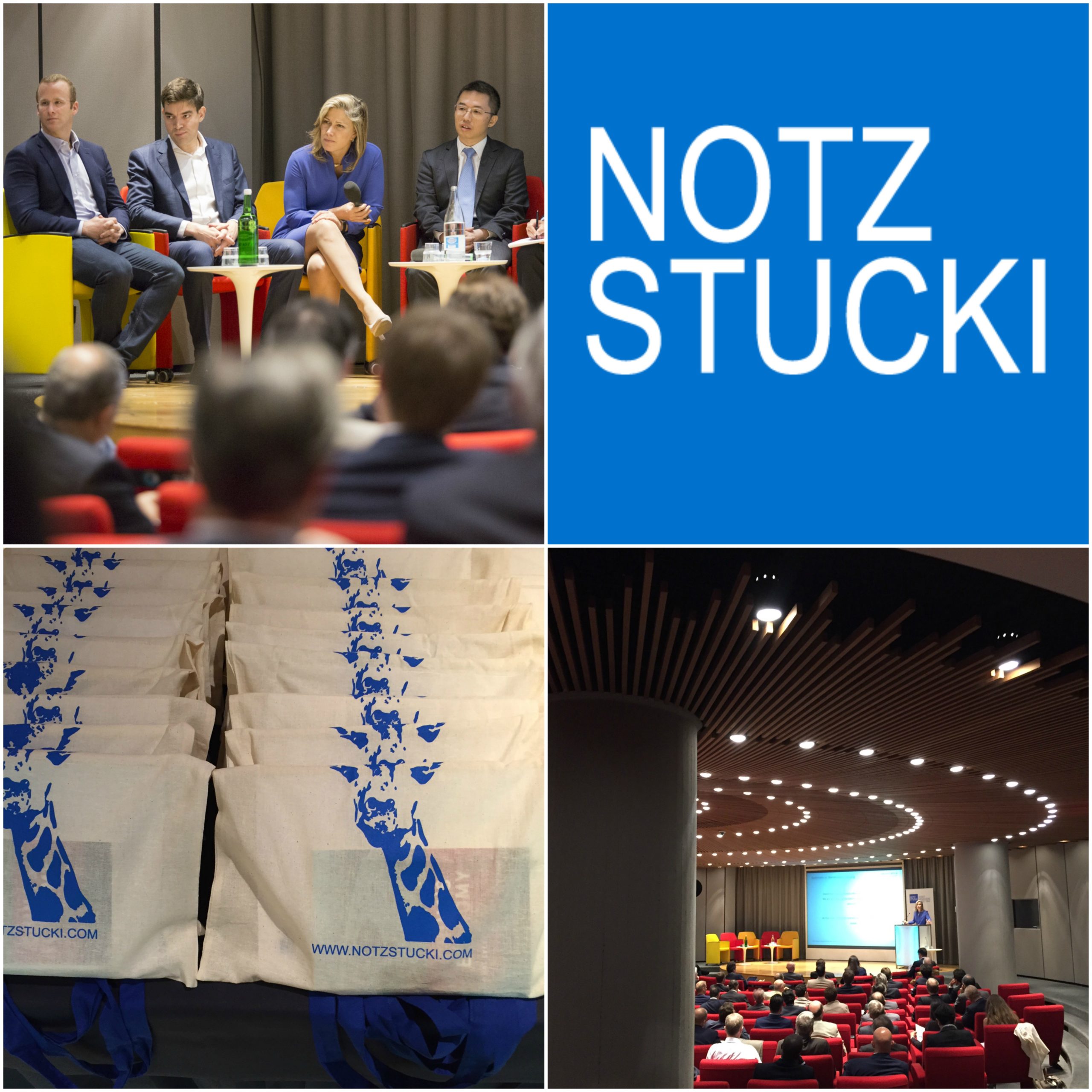 Notz Stucki June 2016 investment conference notesNS Partners Group